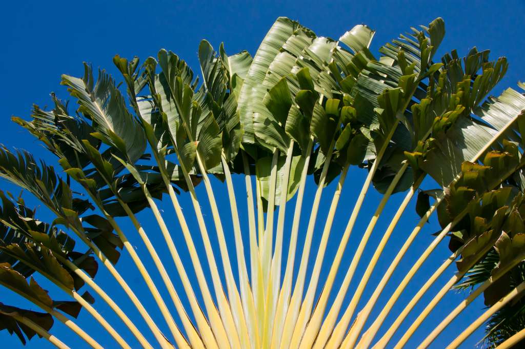 Notre Mission – Avela